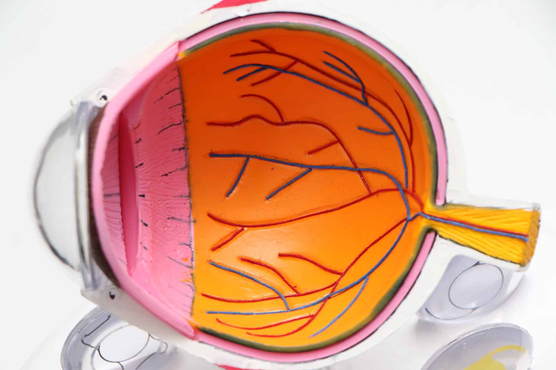 Retinal Imaging with the Optos Machine - Dolphins Optometrists ...